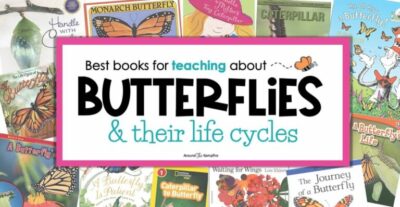 10 Engaging Butterfly Life Cycle Activities for Preschool - Education ...