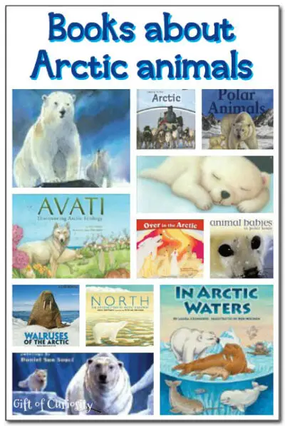 10 Extremely Cool Arctic Animal Activities for Preschool Kids ...