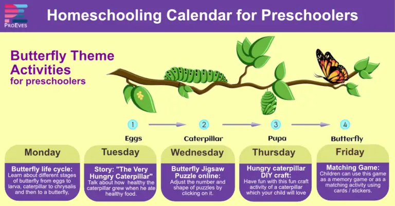 10 Best Butterfly Activities for Preschoolers - Education Outside