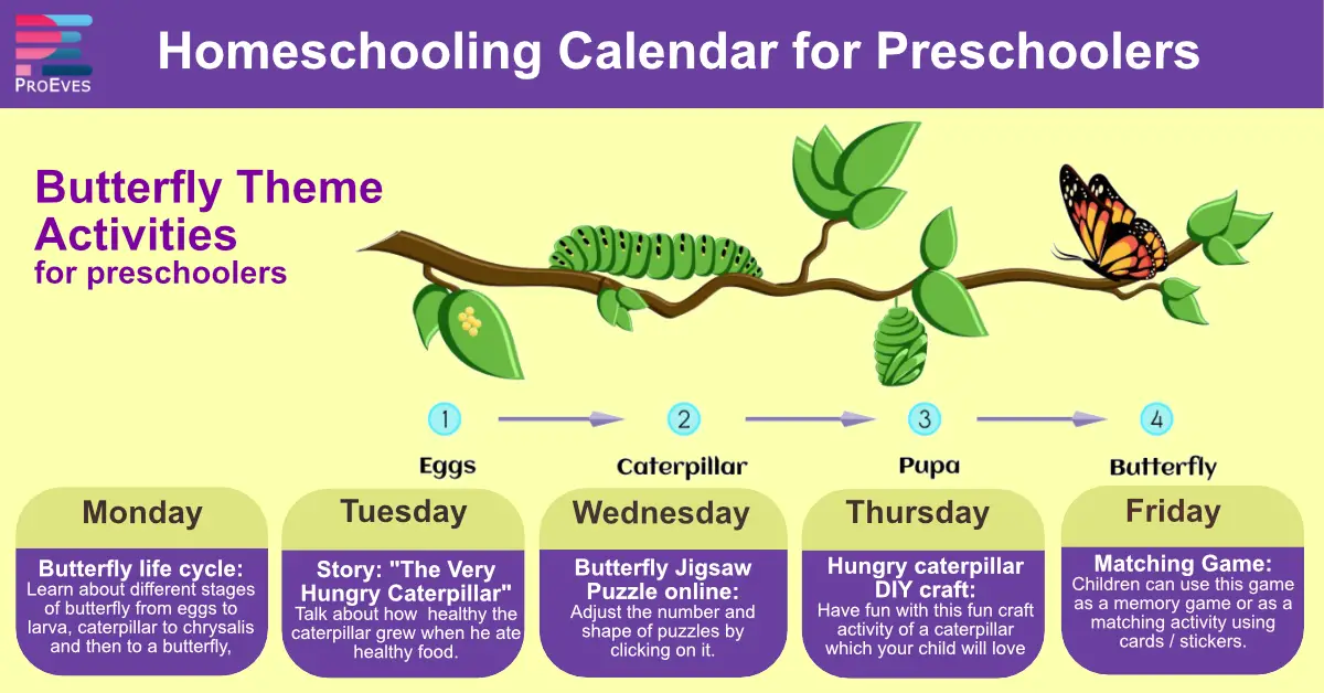 10 Best Butterfly Activities for Preschoolers - Education Outside