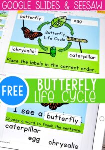 10 Engaging Butterfly Life Cycle Activities for Preschool - Education ...
