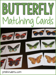 10 Best Butterfly Activities for Preschoolers - Education Outside