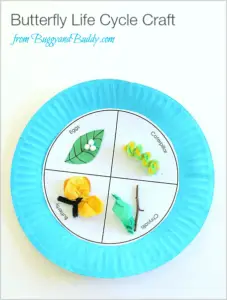 10 Engaging Butterfly Life Cycle Activities for Preschool - Education ...