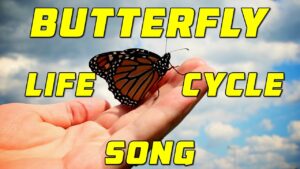 10 Catchy Butterfly Songs for Preschoolers - Education Outside