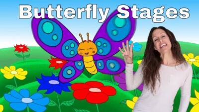 10 Catchy Butterfly Songs for Preschoolers - Education Outside