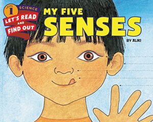 10 Engaging Five Senses Books for Preschoolers - Education Outside