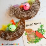 10 Nurturing Letter N Crafts and Activities for Preschoolers ...