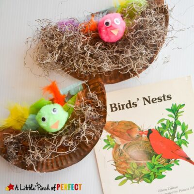 10 Nurturing Letter N Crafts and Activities for Preschoolers ...