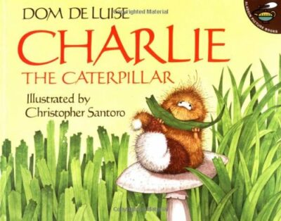 10 Top Read-Aloud Caterpillar Books for Preschool Kids - Education Outside
