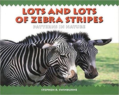 10 Perfect Pattern Books for Preschool Kids - Education Outside