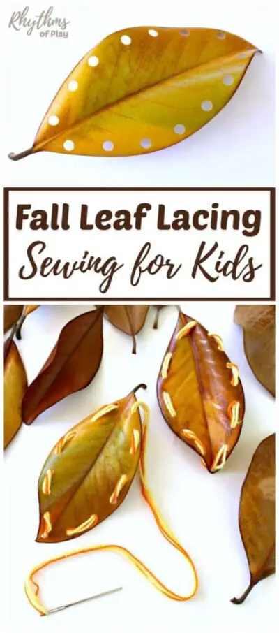10 Splendid Leaf Activities for Preschoolers - Education Outside