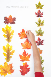 10 Splendid Leaf Activities for Preschoolers - Education Outside