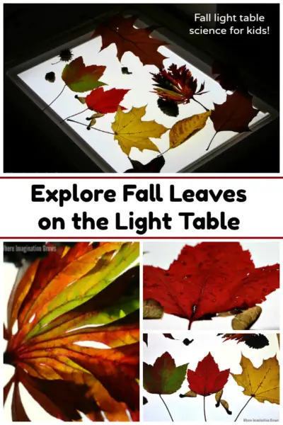 10 Splendid Leaf Activities for Preschoolers - Education Outside