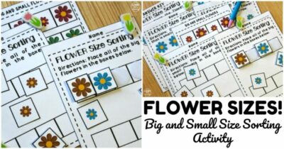 10 Flower Worksheets for Preschool to Nurture Various Skills ...