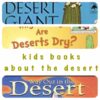 10 Hot and Fun Desert Activities for Preschoolers - Education Outside