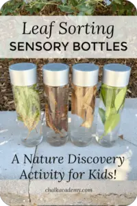 10 Splendid Leaf Activities for Preschoolers - Education Outside