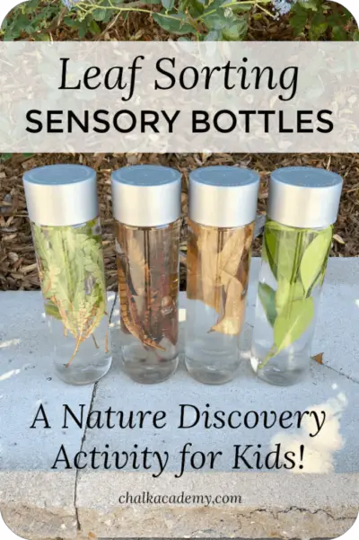 10 Splendid Leaf Activities for Preschoolers - Education Outside