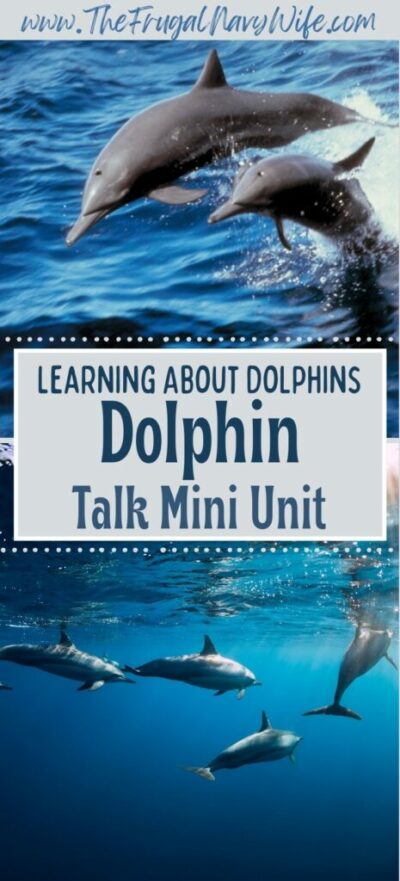 10 Dolphin Crafts Preschool Kids Will Adore - Education Outside