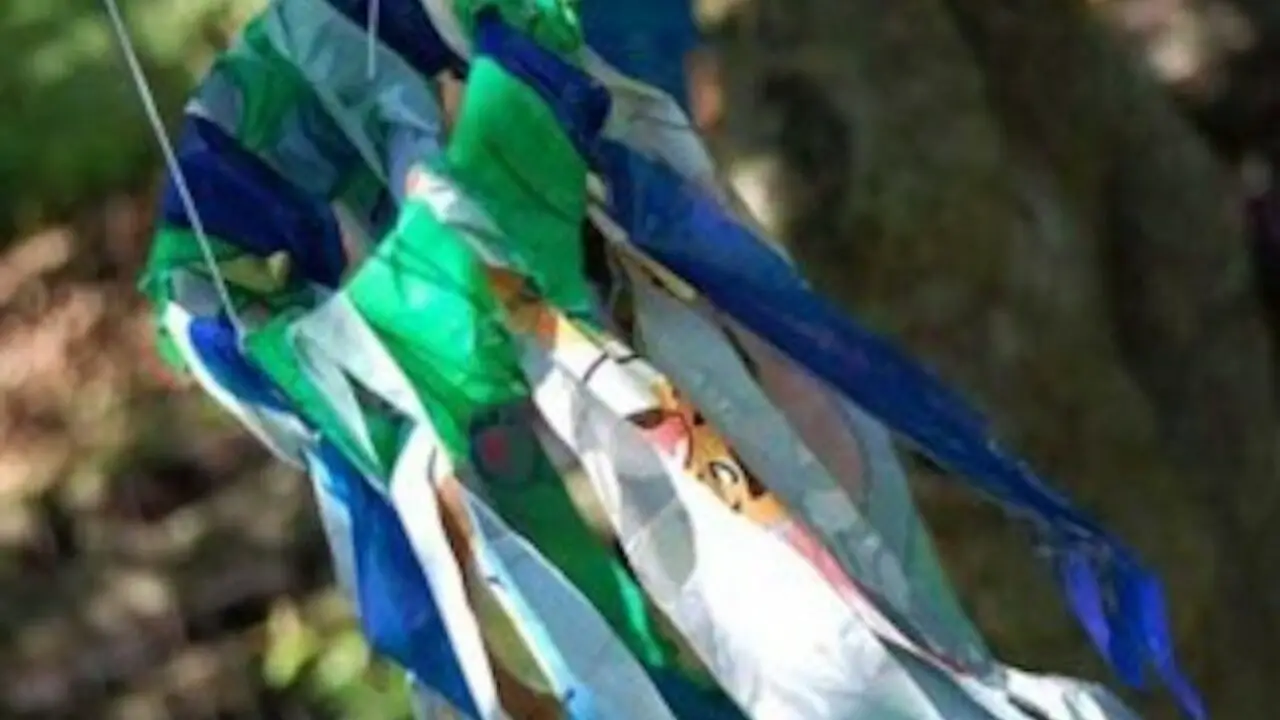 10 Mind-Blowing Wind Activities for Preschoolers - Education Outside