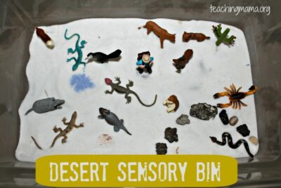 10 Hot and Fun Desert Activities for Preschoolers - Education Outside