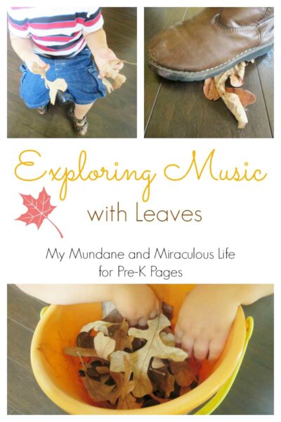 10 Splendid Leaf Activities for Preschoolers - Education Outside