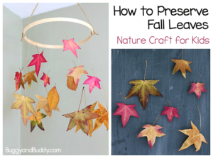 10 Splendid Leaf Activities for Preschoolers - Education Outside
