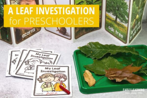 10 Splendid Leaf Activities for Preschoolers - Education Outside