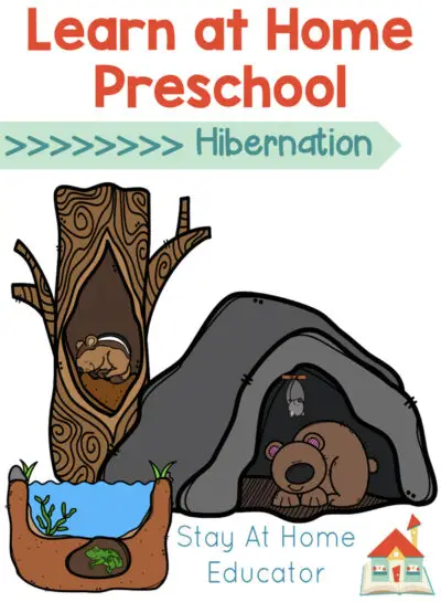 10 Fun and Cool Hibernation Activities for Preschoolers - Education Outside