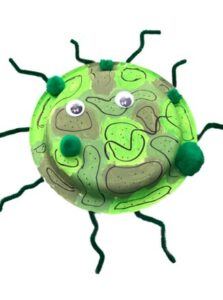 10 Exciting Germs Activities for Preschool Kids - Education Outside