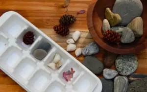 10 Fantastic Sorting Activities for Preschoolers - Education Outside