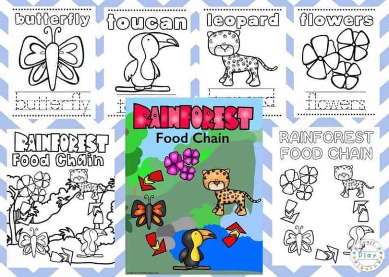 10 Amazing Rainforest Preschool Activities - Education Outside