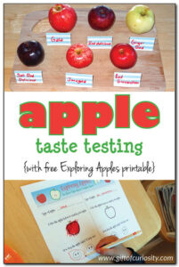 10 Learning-filled Apple Worksheets for Preschool - Education Outside