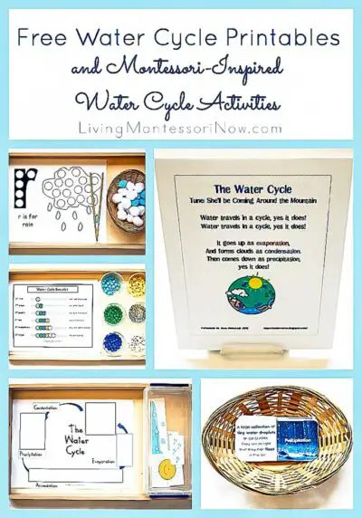 10 Fun and Cool Water Cycle Activities for Preschool - Education Outside
