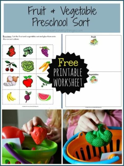 10 Fantastic Sorting Activities for Preschoolers - Education Outside