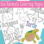 10 Incredible Ocean Worksheets for Preschool - Education Outside