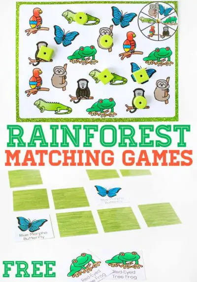 10 Amazing Rainforest Preschool Activities - Education Outside