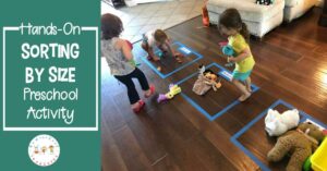 10 Fantastic Sorting Activities for Preschoolers - Education Outside