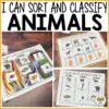 10 Fantastic Sorting Activities for Preschoolers - Education Outside