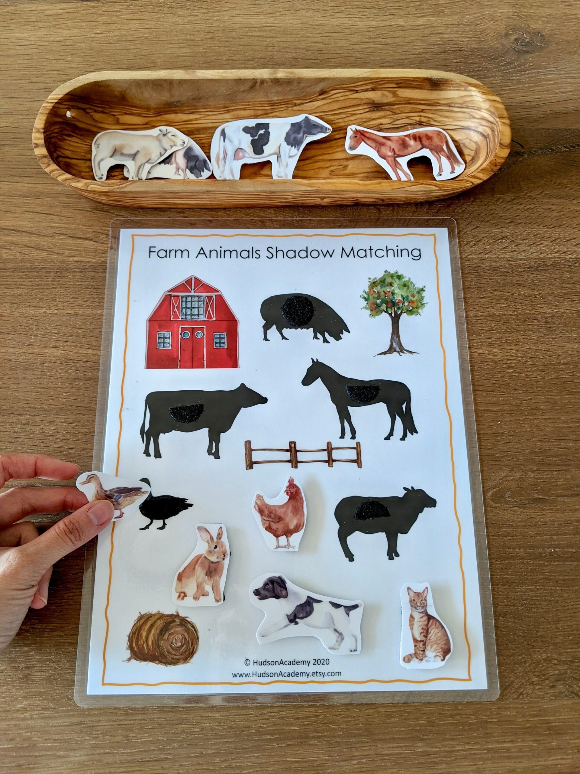 10 Fun Farm Animal Worksheets for Preschool - Education Outside