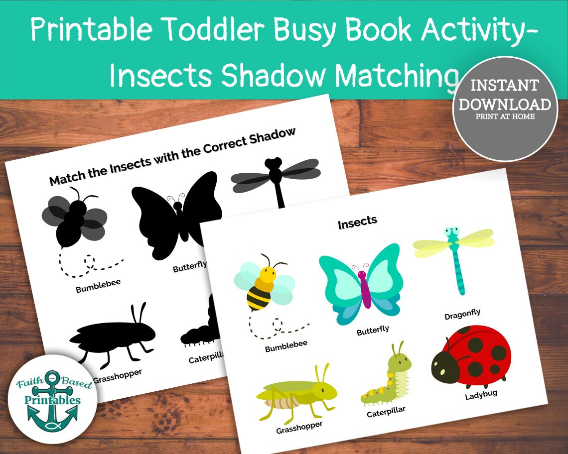 10 Interesting Insect Worksheets for Preschool - Education Outside