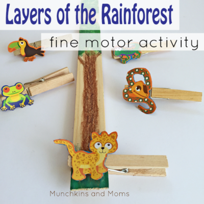 10 Amazing Rainforest Preschool Activities - Education Outside