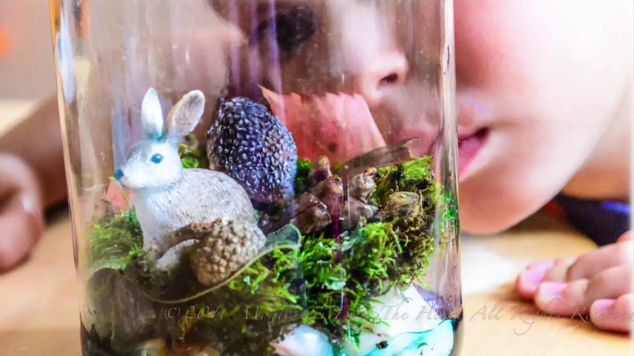 10 Fun and Cool Water Cycle Activities for Preschool - Education Outside