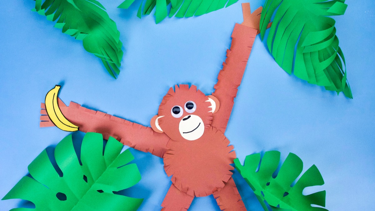 10 Amazing Rainforest Preschool Activities - Education Outside