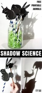 10 Enlightening Shadow Activities for Preschoolers - Education Outside