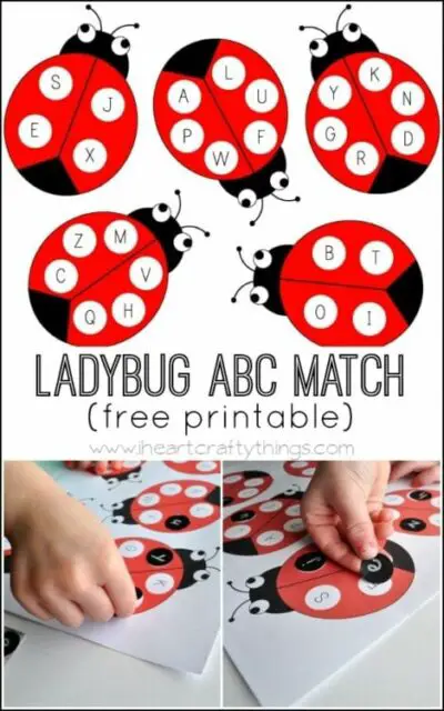 10 Lovely Ladybug Activities for Preschoolers - Education Outside