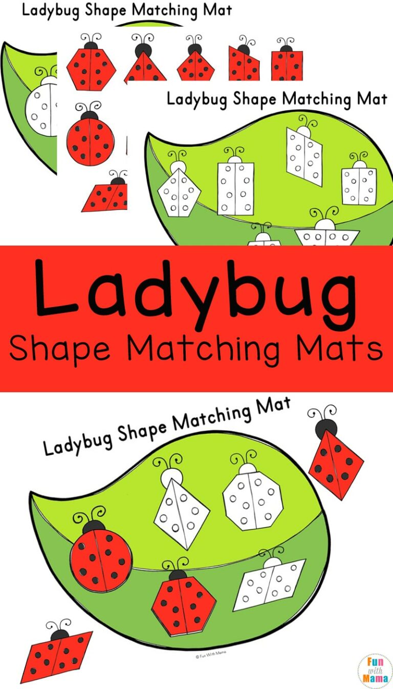 10 Lovely Ladybug Activities for Preschoolers - Education Outside