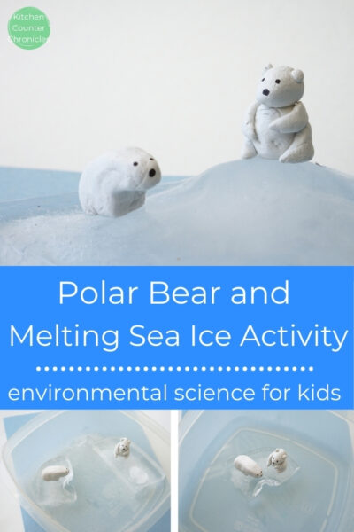 10 Best Bear Preschool Activities - Education Outside