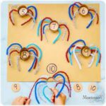 10 Evergreen Seasons Activities for Preschool - Education Outside