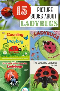 10 Lovely Ladybug Activities for Preschoolers - Education Outside