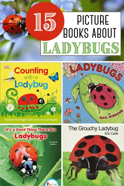 10 Lovely Ladybug Activities for Preschoolers - Education Outside